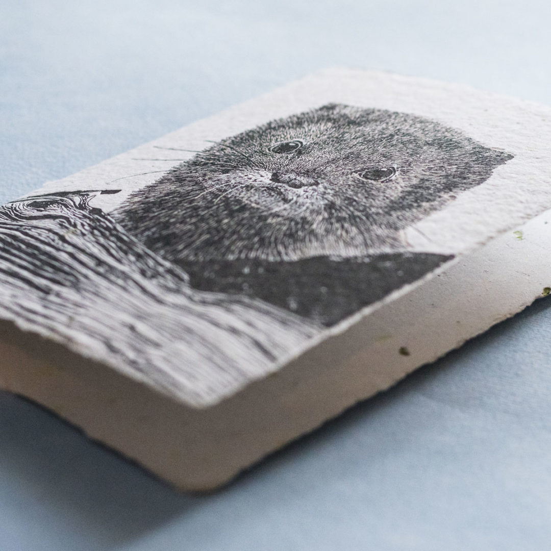 Euroopa naarits | Labora