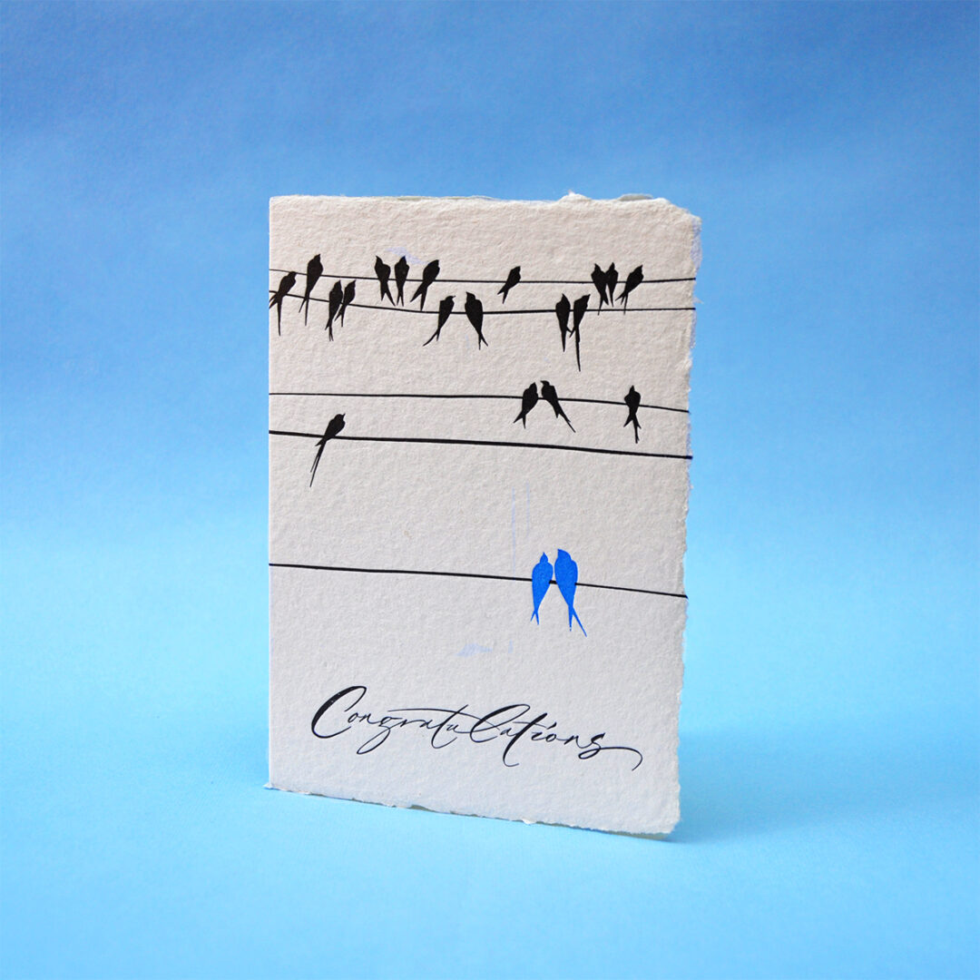 Congratulations birds | Labora